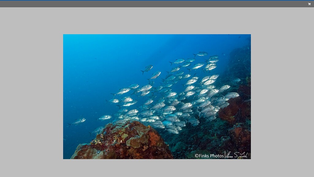 Normal Cart function in Backlight 5 - Backlight 4, 5 & 6 Support - The ...